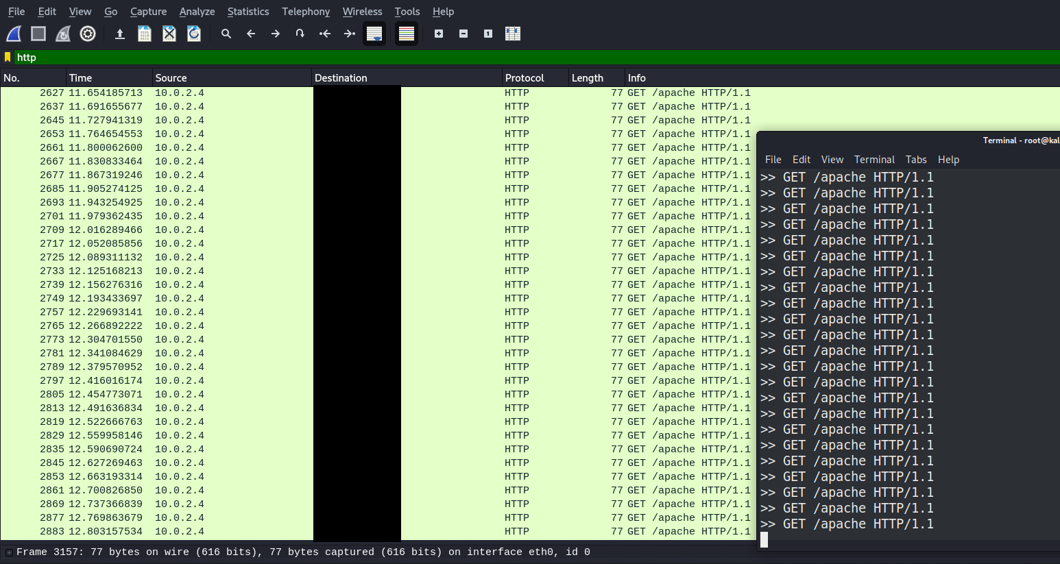 DoS - DDoS | CyberWorm