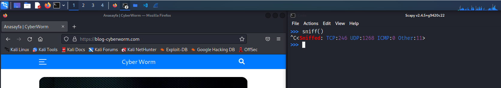 Modüller | scapy | CyberWorm