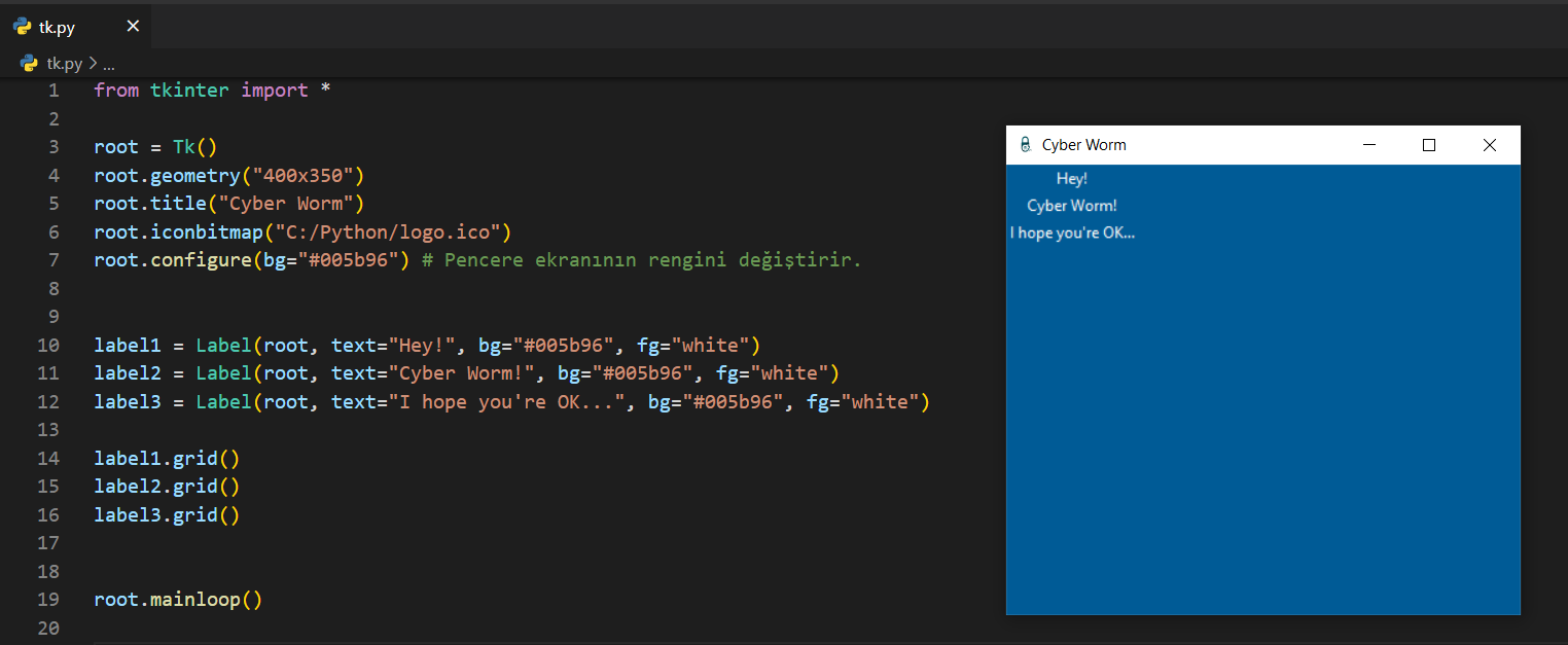 Modüller | tkinter | CyberWorm