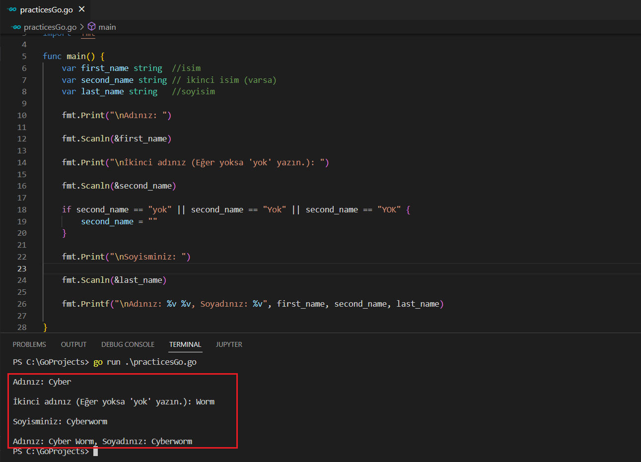 Input ve Pratikler | CyberWorm