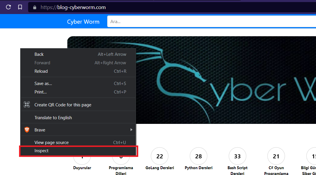 Modüller | requests | CyberWorm