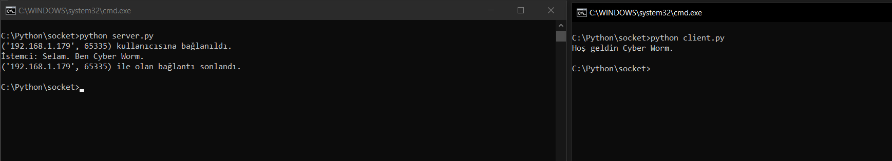 Modüller | socket | CyberWorm