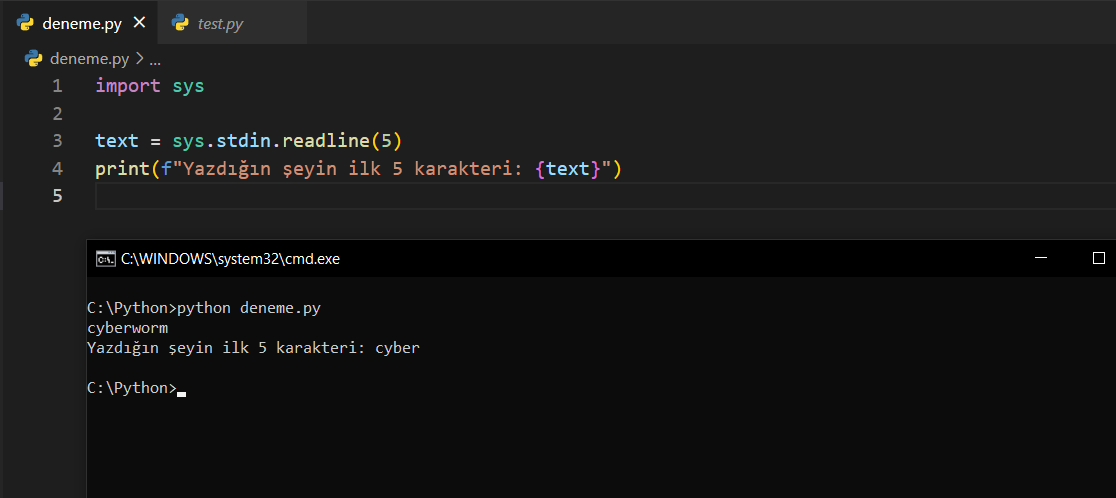 Modüller | sys, platform | CyberWorm