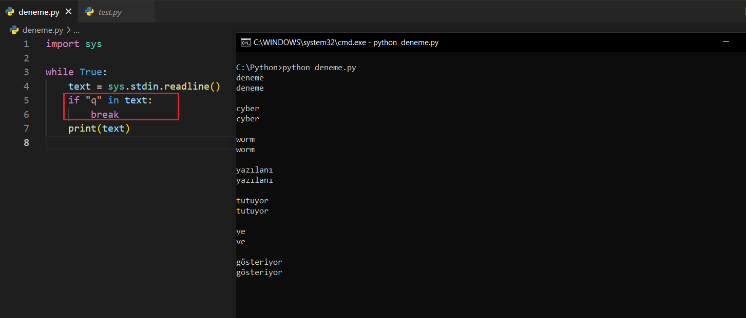 Modüller | sys, platform | CyberWorm