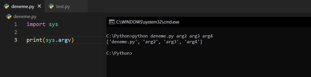 Modüller | sys, platform | CyberWorm