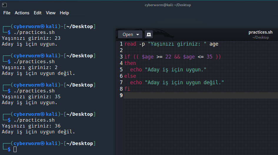 'and' ve 'or' | CyberWorm
